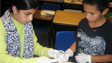 Butte Vista School - Gifted and Talented Education (GATE)